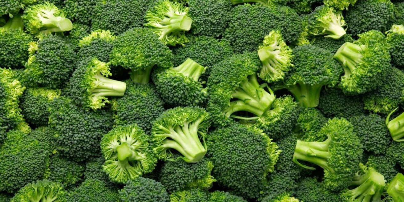5 Brilliant Facts About Broccoli - The Fact Site