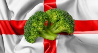 5 Brilliant Facts About Broccoli - The Fact Site