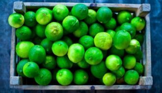 9 Fruity Facts About Limes - The Fact Site