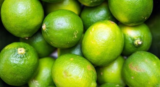 9 Fruity Facts About Limes - The Fact Site
