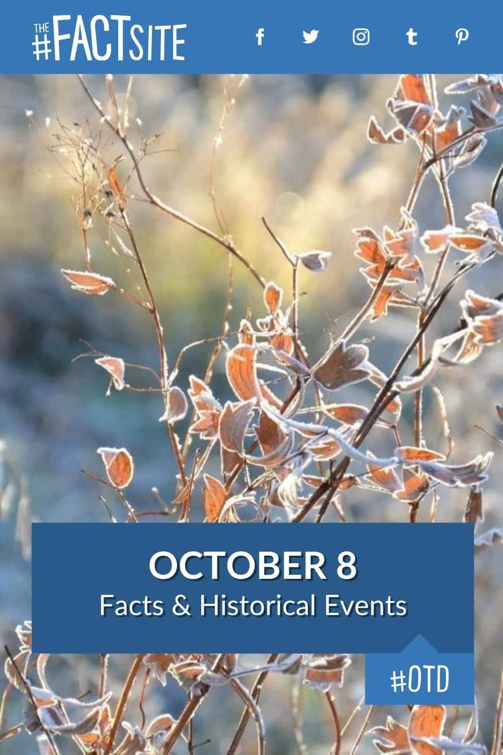 October 8 Facts Historical Events On This Day The Fact Site october-8-facts-historical-events-on-this-day-the-fact-site