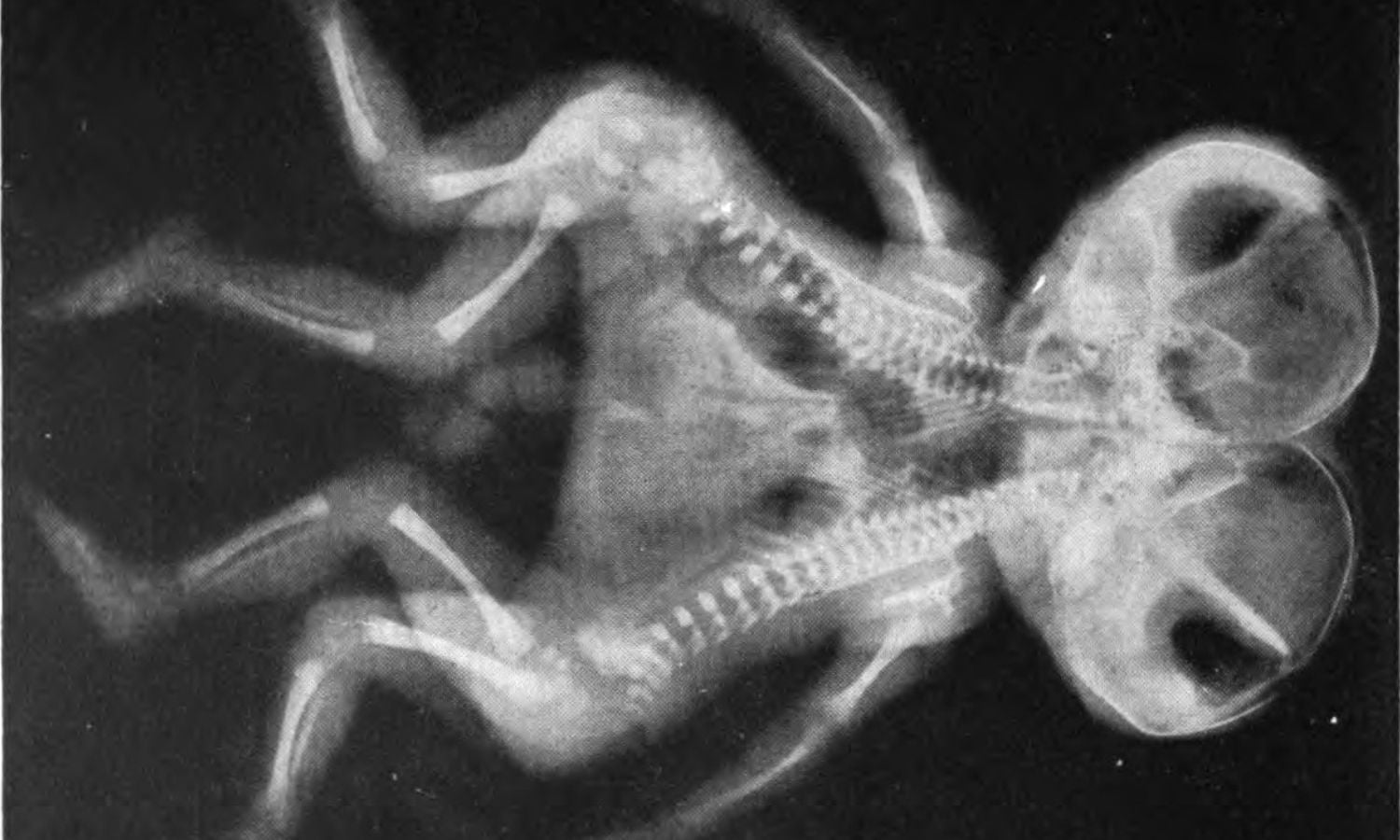 September 17: Facts & Historical Events On This Day - The Fact Site