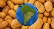 10 Profound Facts About Potatoes - The Fact Site