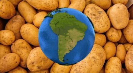 10 Profound Facts About Potatoes - The Fact Site