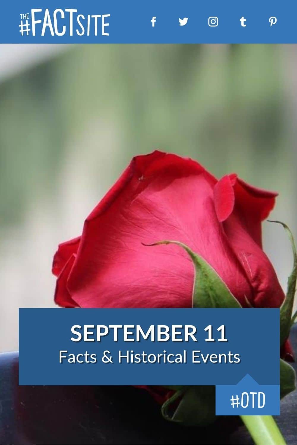 September 11 Facts Historical Events On This Day The Fact Site september-11-facts-historical-events-on-this-day-the-fact-site