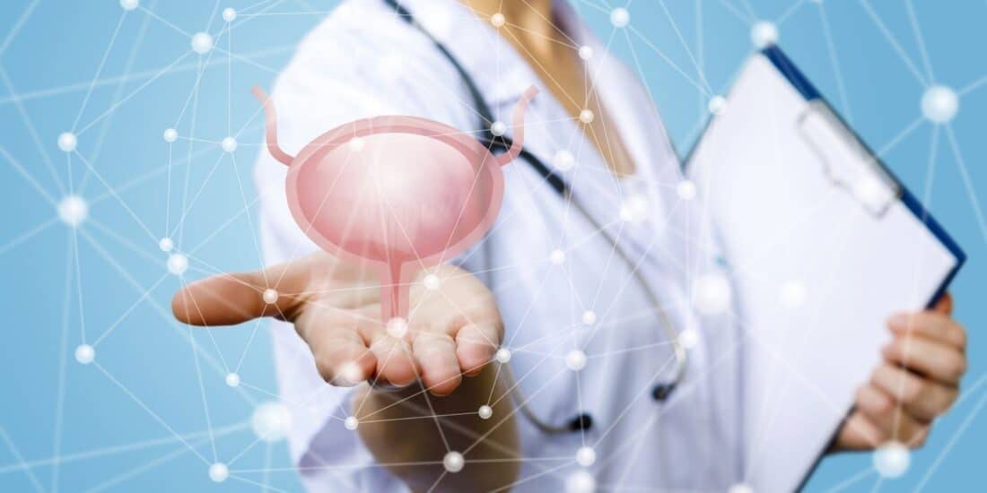 What Does Your Bladder Actually Do? - The Fact Site