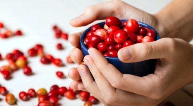 6 Health Benefits of Eating Cranberries - The Fact Site