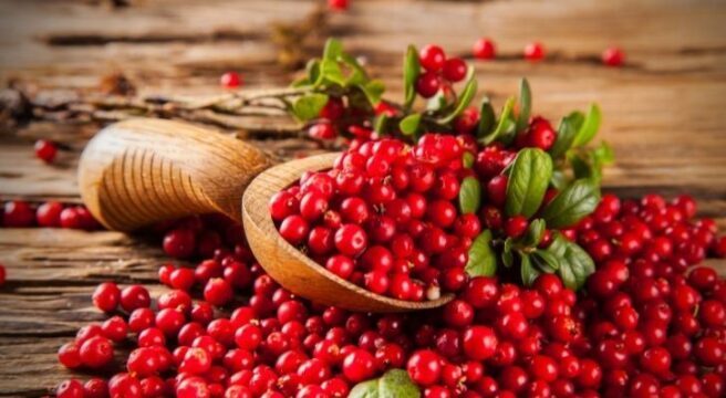 6 Health Benefits of Eating Cranberries - The Fact Site