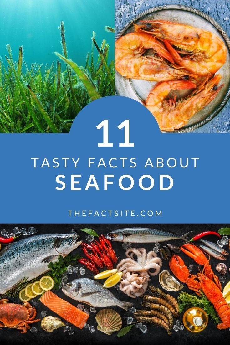 11 Tasty Facts About Seafood - The Fact Site