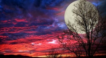 What Is A Strawberry Moon? - The Fact Site