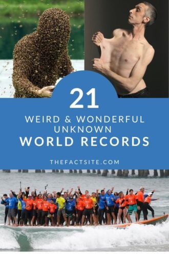 21 Weird & Wonderful Unknown World Records - The Fact Site