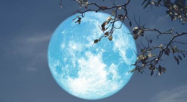 What Is A Buck Moon? - The Fact Site