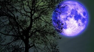 What Is A Buck Moon? - The Fact Site