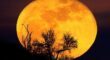 What Is A Beaver Moon? - The Fact Site