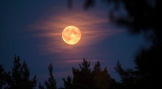 What Is A Beaver Moon? - The Fact Site
