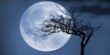 What Is A Cold Moon? - The Fact Site