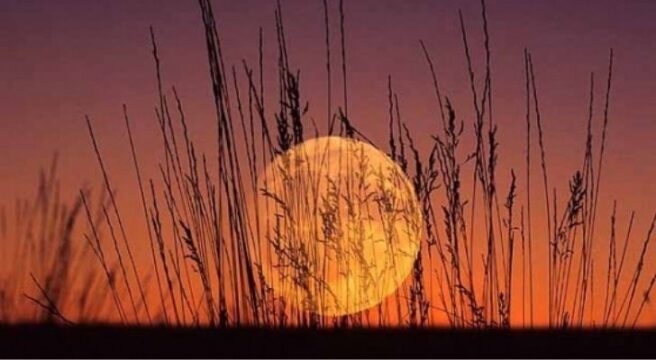 What Is a Corn Moon? - The Fact Site