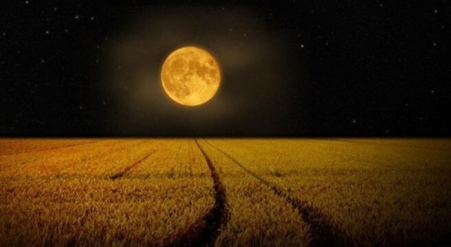 What Is a Corn Moon? - The Fact Site