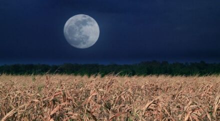 What Is a Corn Moon? - The Fact Site