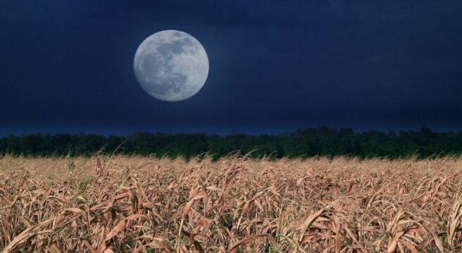 What Is a Corn Moon? - The Fact Site
