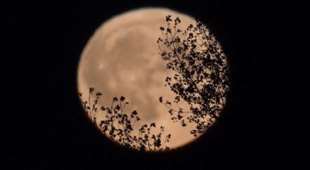 What Is A Harvest Moon? - The Fact Site