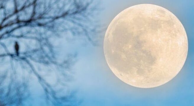 What Is A Harvest Moon? - The Fact Site