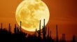 What Is A Harvest Moon? - The Fact Site