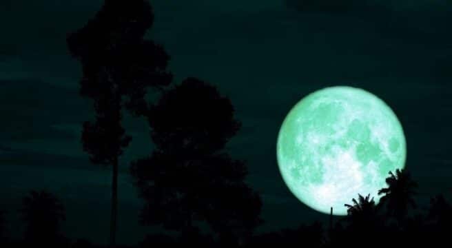 What Is A Sturgeon Moon? - The Fact Site