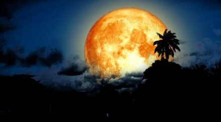 What Is A Sturgeon Moon? - The Fact Site