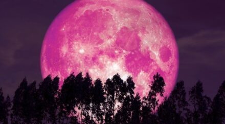 What Is A Sturgeon Moon? - The Fact Site
