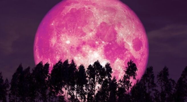 What Is A Sturgeon Moon? - The Fact Site