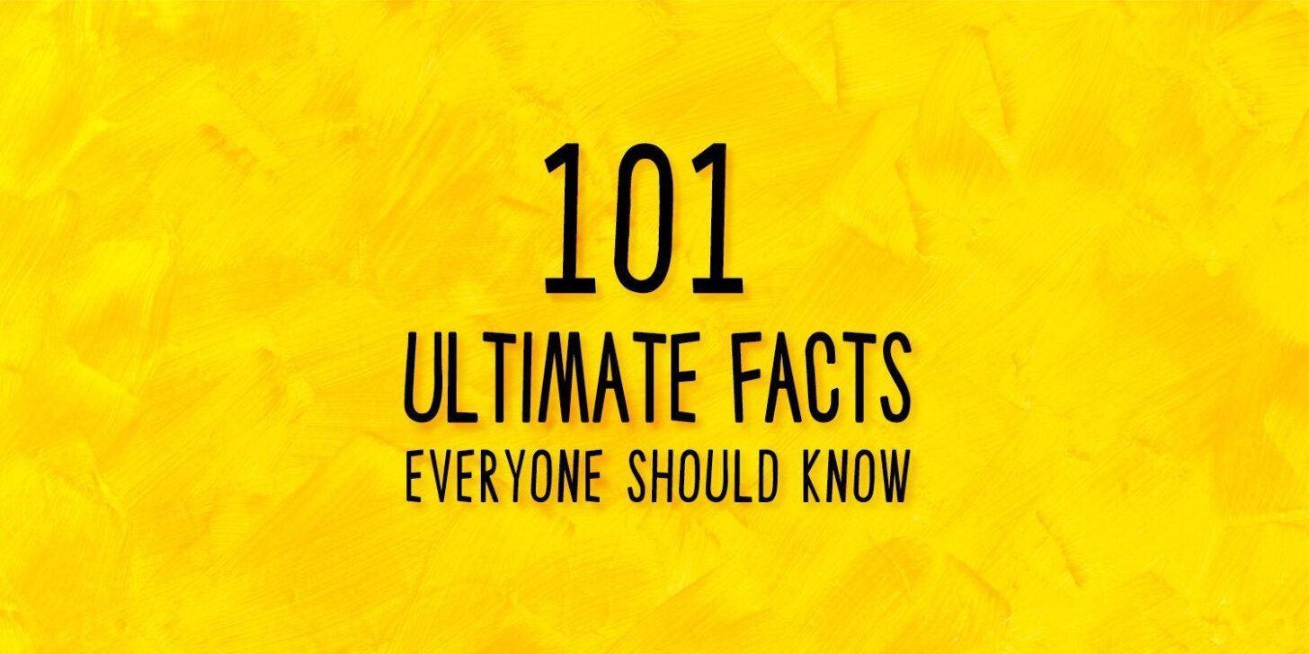 Random Facts Lists - The Fact Site