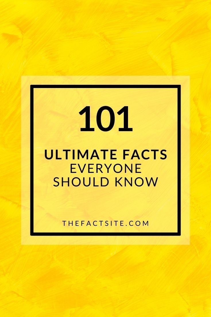 101 Ultimate Facts Everyone Should Know - The Fact Site