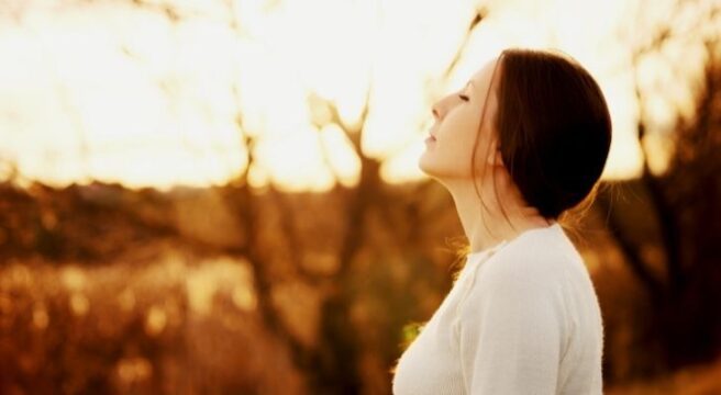 10 Most Bizarre Diets You Won't Believe Exist - The Fact Site