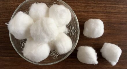 10 Most Bizarre Diets You Won't Believe Exist - The Fact Site