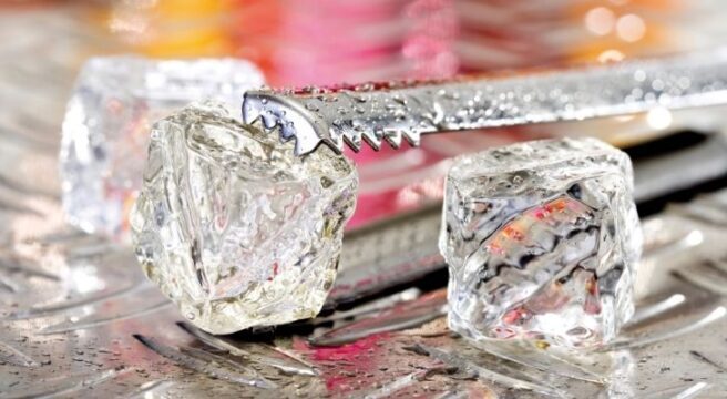 10 Most Bizarre Diets You Won't Believe Exist - The Fact Site