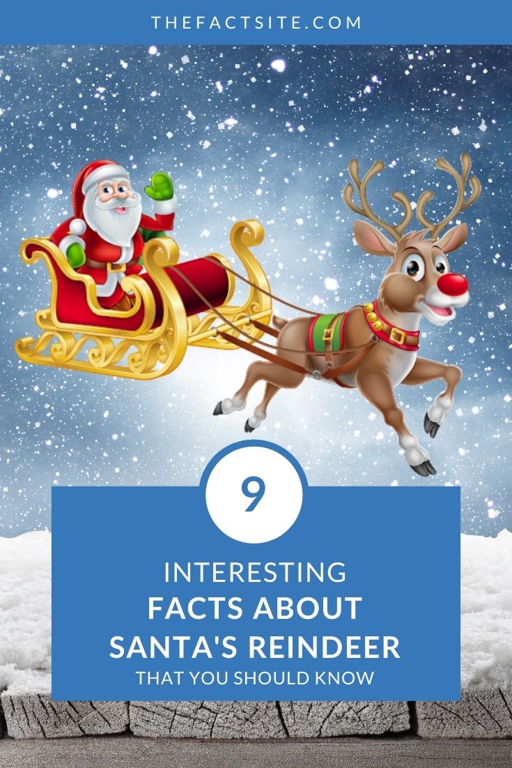 9 Interesting Facts About Santa's Reindeer - The Fact Site