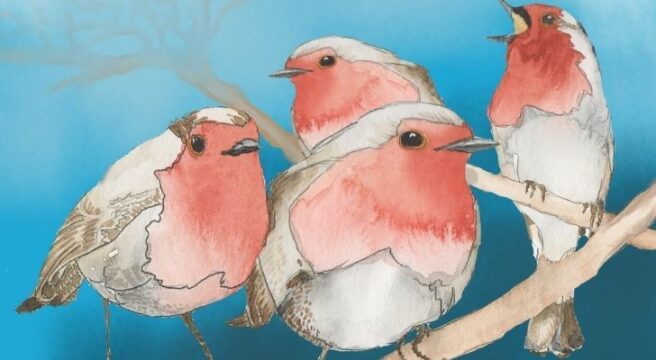 What Are The 12 Days Of Christmas? - The Fact Site