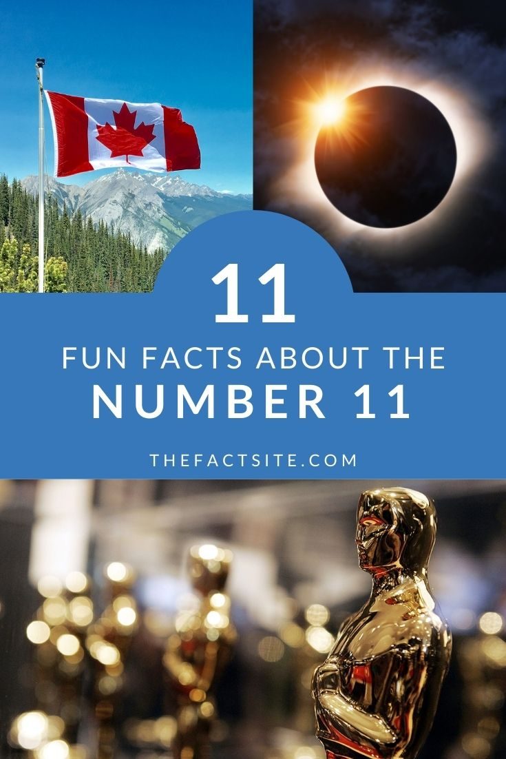 11 Fun Facts About The Number 11 - The Fact Site