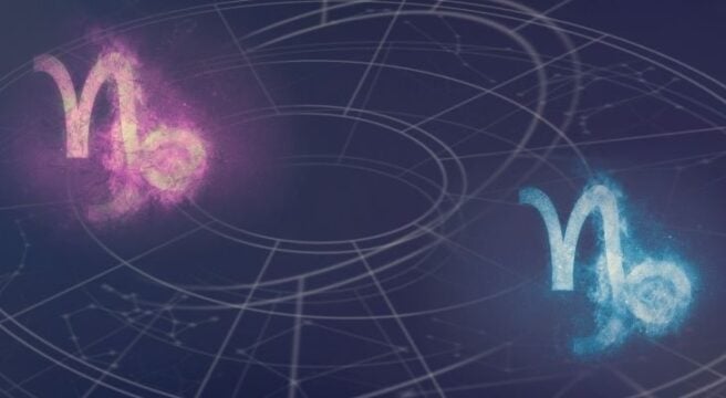 Curious Facts About The Capricorn Zodiac Sign - The Fact Site