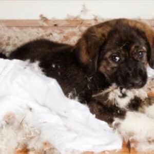 July 3: Facts & Historical Events On This Day - The Fact Site