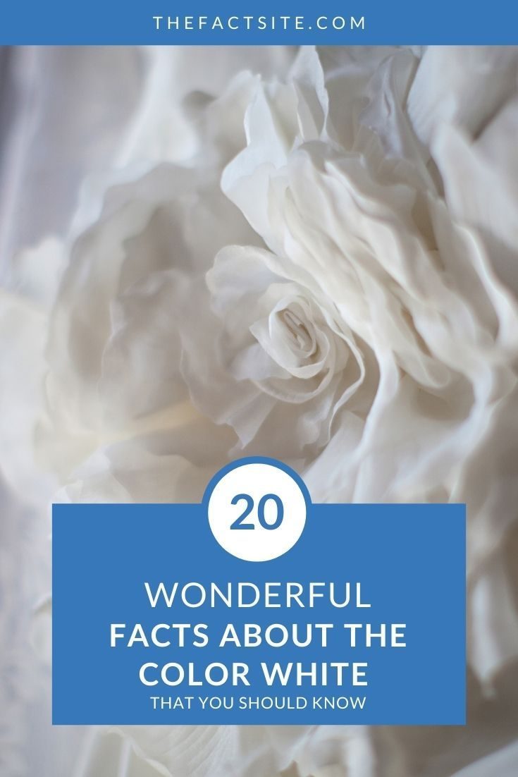 20 Wonderful Facts About The Color White - The Fact Site