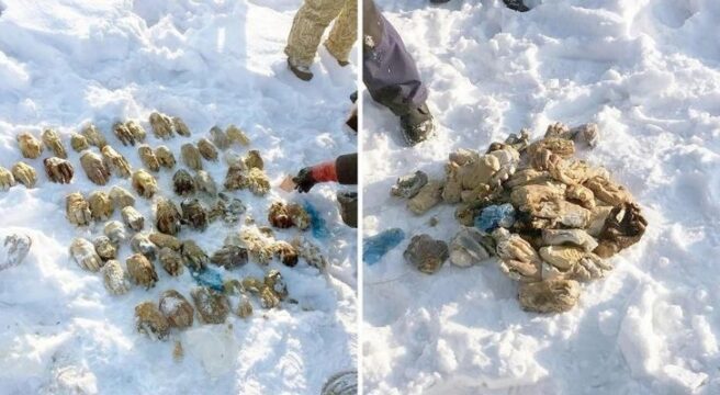 20 Strange Things That Have Washed Ashore - The Fact Site