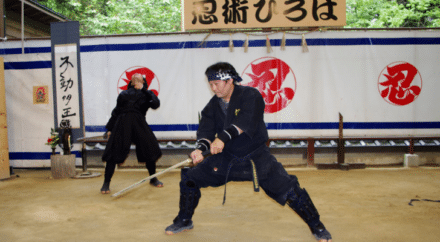 8 Strange Facts About Ninjas - The Fact Site