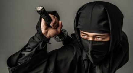 8 Strange Facts About Ninjas - The Fact Site