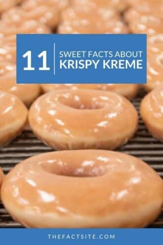 11 Sweet Facts About Krispy Kreme - The Fact Site