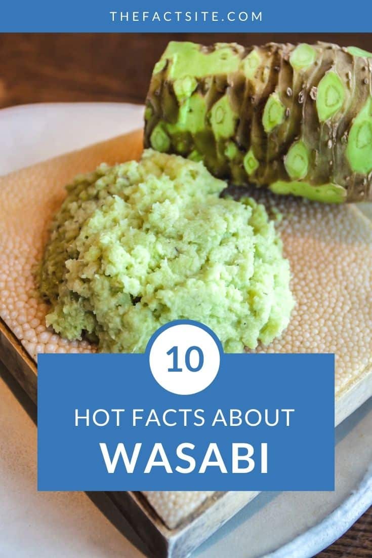 10 Hot Facts About Wasabi - The Fact Site