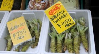10 Hot Facts About Wasabi - The Fact Site