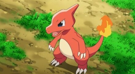 20 Fast Facts About Charmeleon | Pokémon - The Fact Site