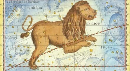 Interesting Facts About the Leo Zodiac Sign - The Fact Site